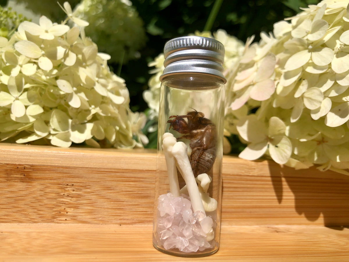 Only a little Dead Vial - Deadary Art Co.